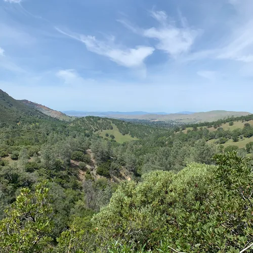 10 Best Waterfall Trails in Mount Diablo State Park | AllTrails