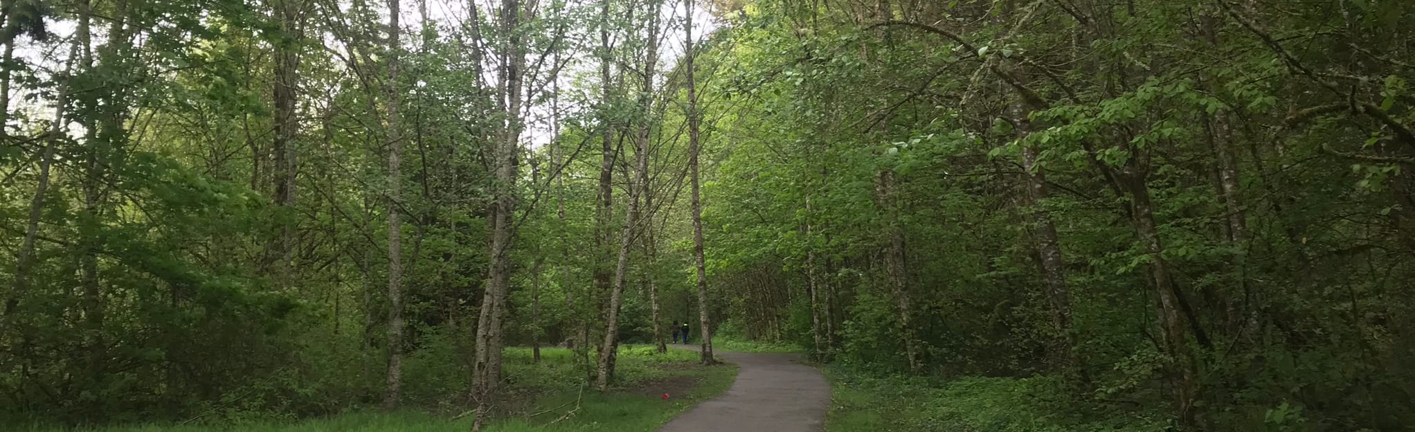 Noble Woods North Loop Trail, Oregon - 94 Reviews, Map | AllTrails