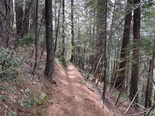 Best Waterfall Trails in Foresthill | AllTrails