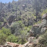 Four Peaks Trail to Arizona Trail, Arizona - 63 Reviews, Map | AllTrails