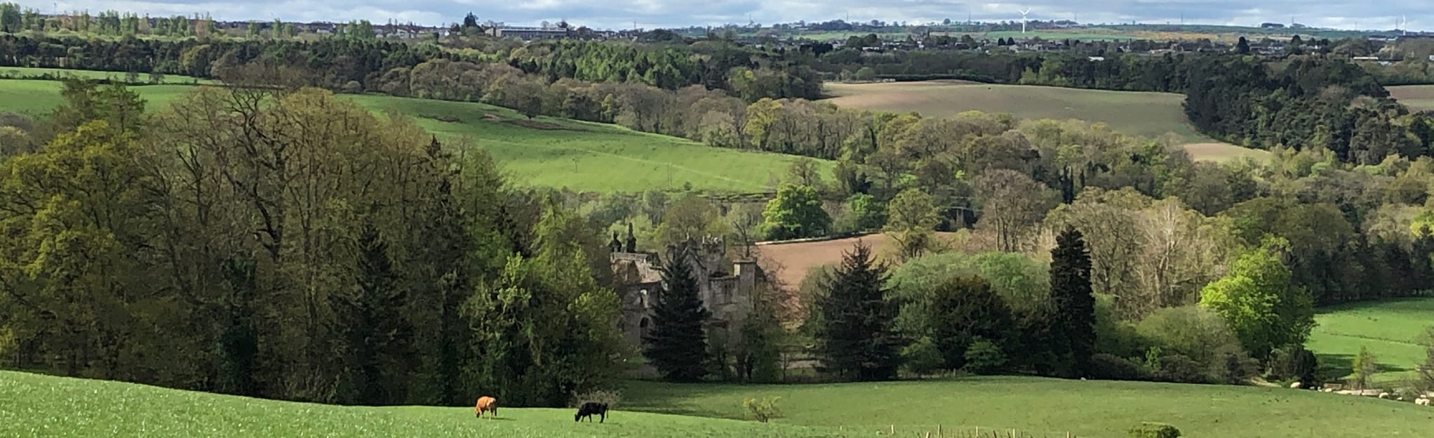 Gowkthrapple Burn and Cambusnethan Woods Circular: 8 Reviews, Map ...