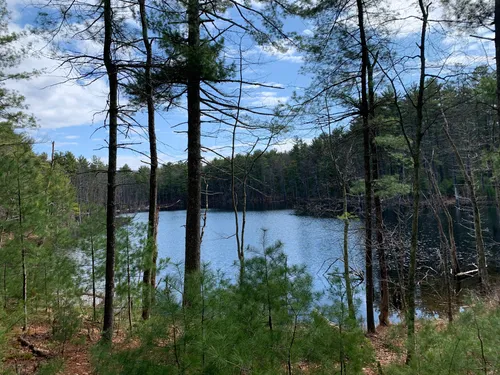 Best 10 Hiking Trails in Upton State Forest | AllTrails