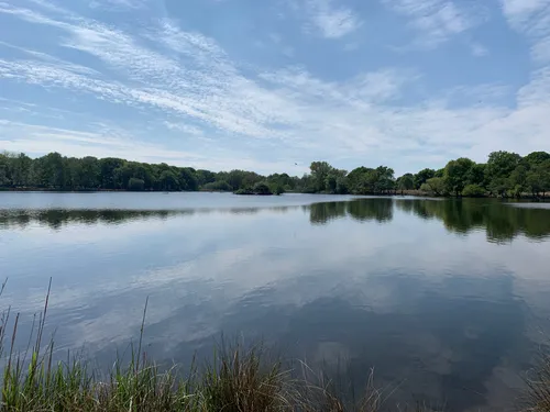 10 Best Hikes and Trails in Richmond Park | AllTrails