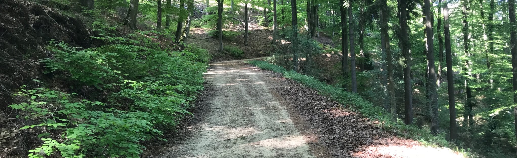 Saeul Circular Walk: 31 Reviews, Map - Redange, Luxembourg | AllTrails