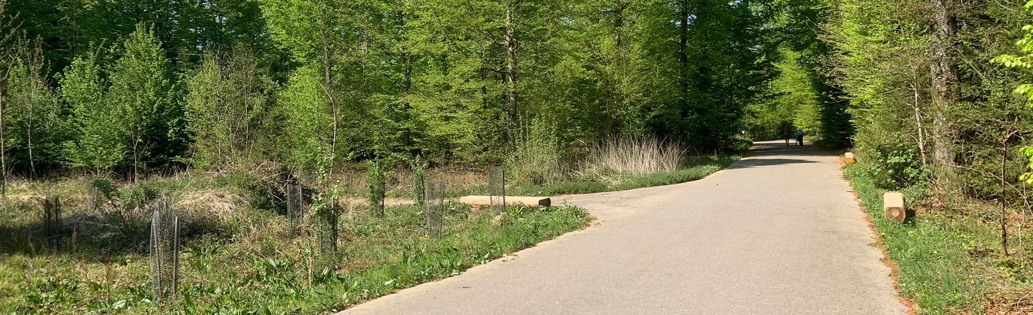 Wallisellen - Aussichtsturm Hardwald: 24 Fotos - Zürich, Switzerland ...
