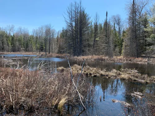 10 Best Hikes and Trails in Huron National Forest | AllTrails