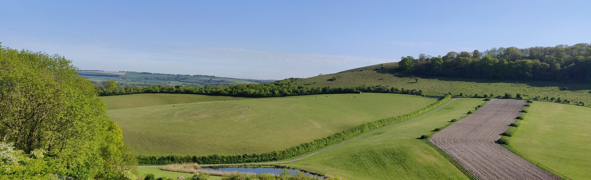 Beacon Hill, Exton, and Warnford Circular, Hampshire, England - 112 ...