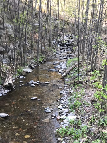 2023 Best trails in Blue Range Primitive Area | AllTrails