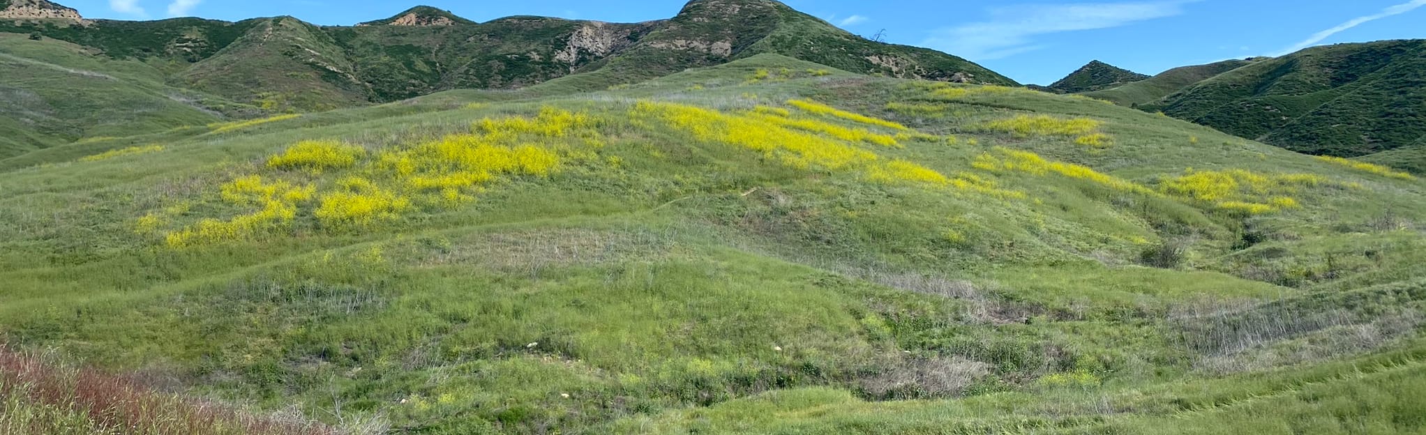 Shadow Glen Trail and Uncle Remi Trail Loop, California - 197 Reviews ...