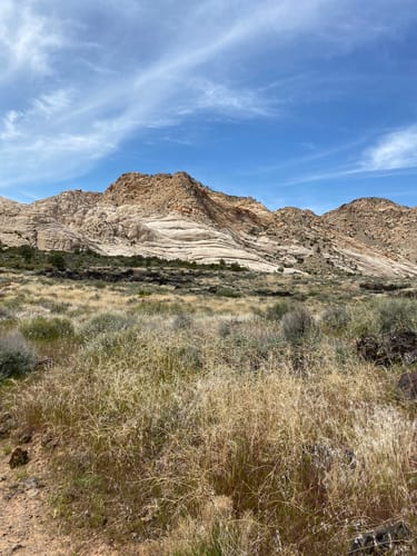 2023 Best 10 Trails and Hikes in St. George | AllTrails