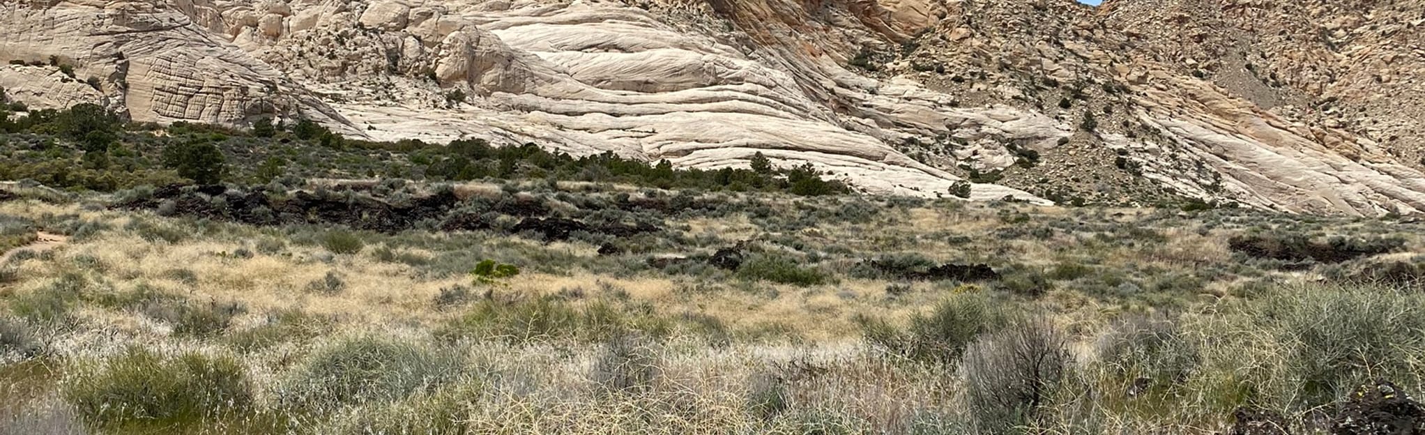 Whiterocks Amphitheater Trail, Utah - 421 Reviews, Map | AllTrails
