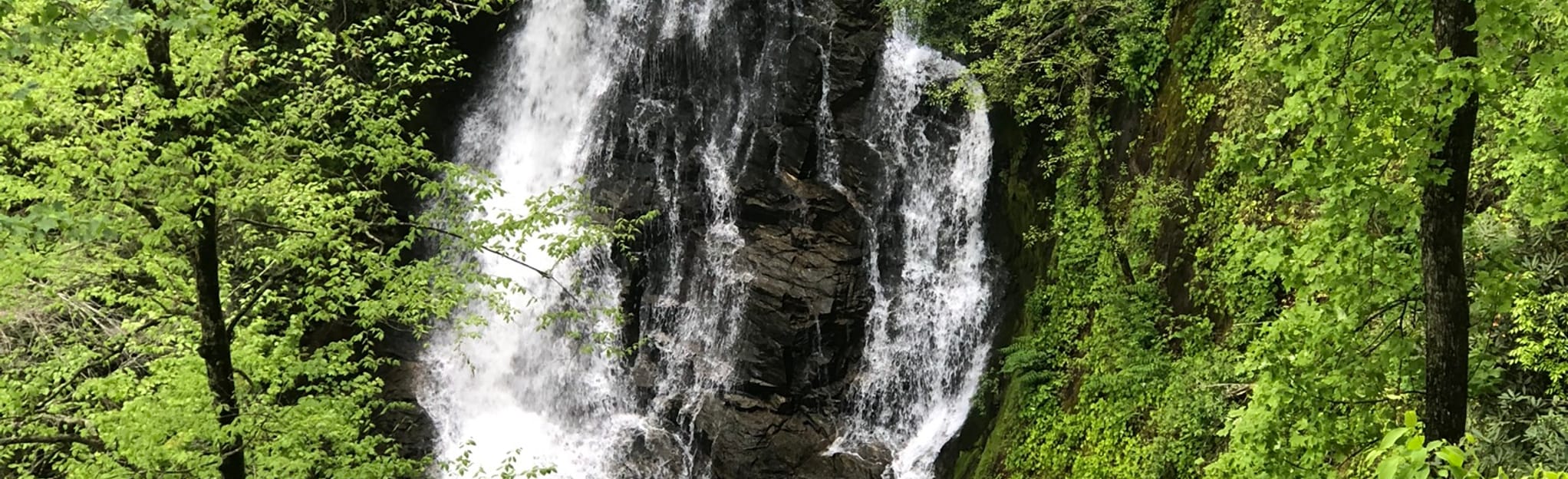 Beech Bottom Falls (Old Trail), South Carolina - 78 Reviews, Map ...