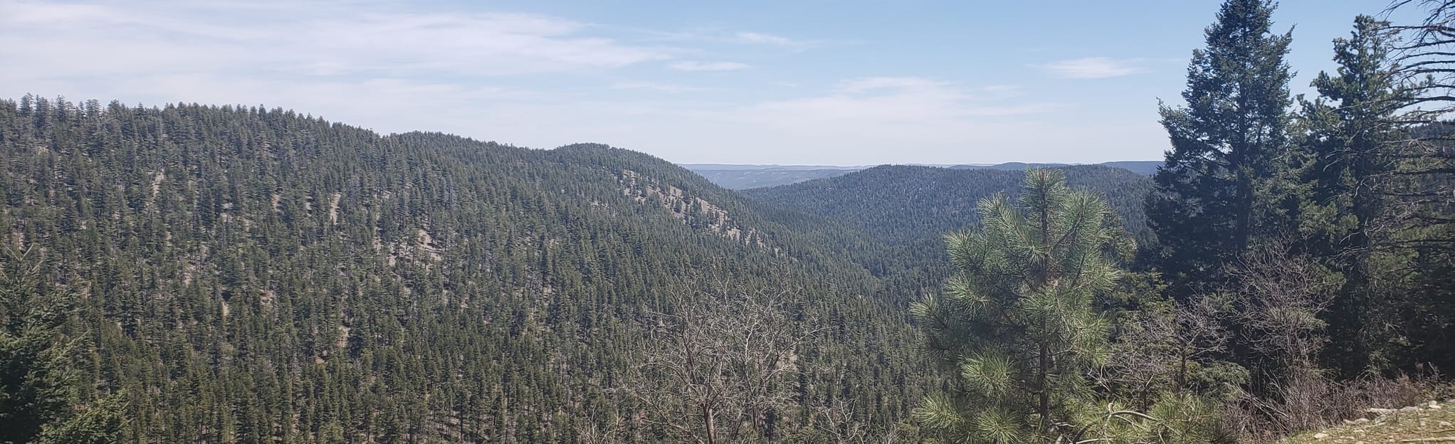 Dark Canyon Loop Trail: 27 Reviews, Map - New Mexico | AllTrails