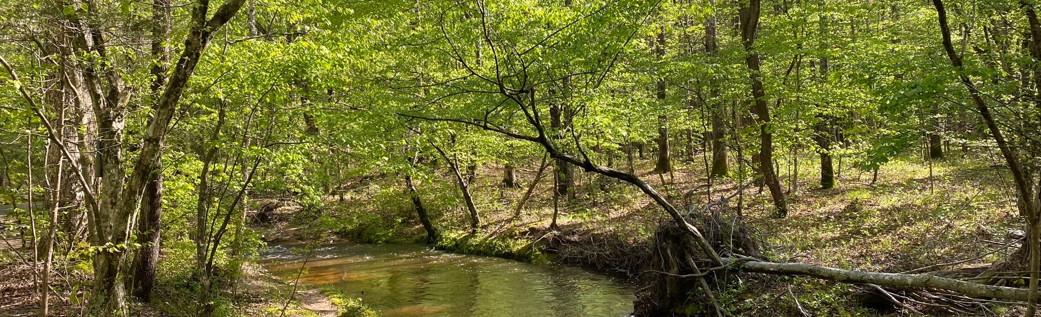 Poor Farm Park Trails, Virginia - 503 Reviews, Map | AllTrails