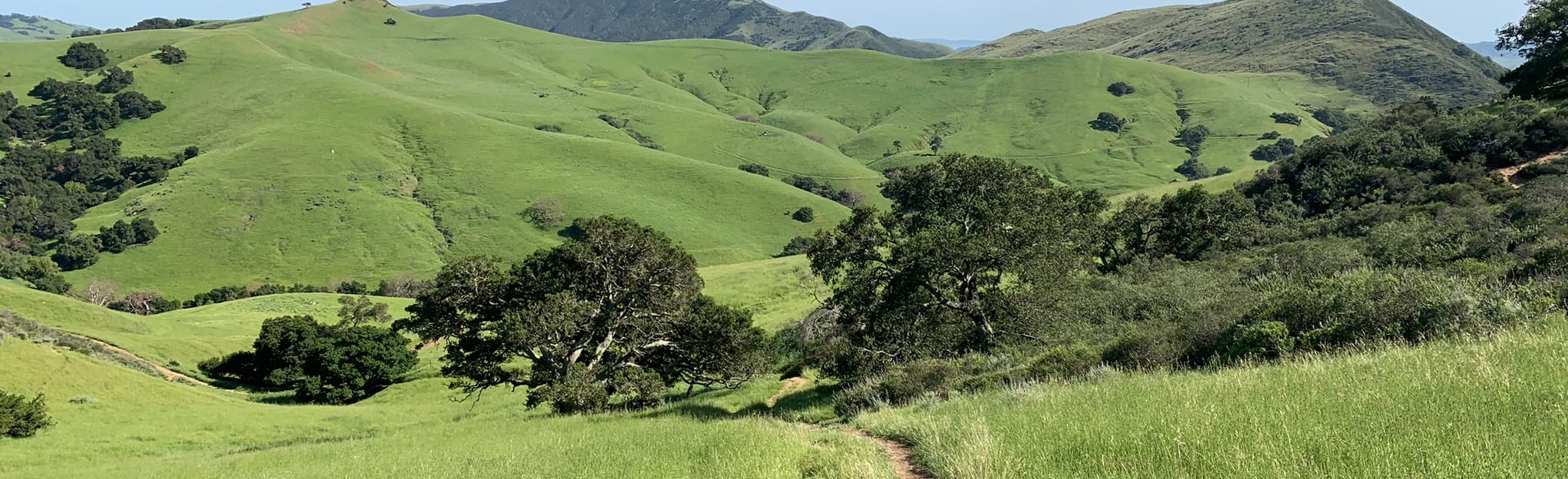 Poly Canyon Loop Trail, California - 513 Reviews, Map | AllTrails