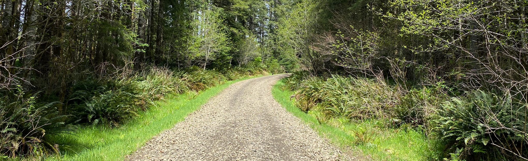 Alger Truck Trail, Washington - 7 Reviews, Map | AllTrails