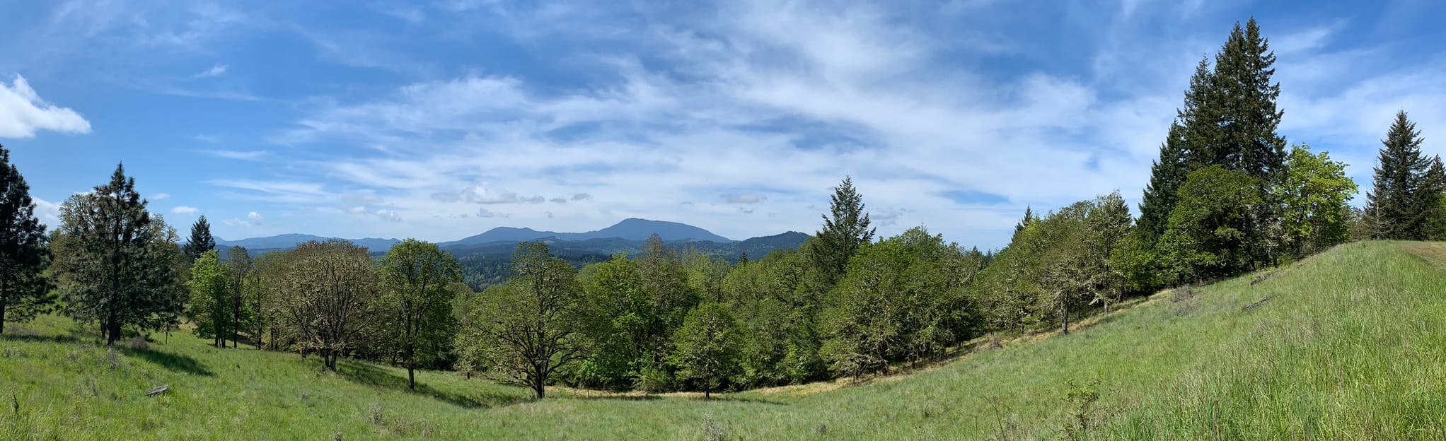 Mulkey Ridge to Cardwell Hill, Oregon - 57 Reviews, Map | AllTrails