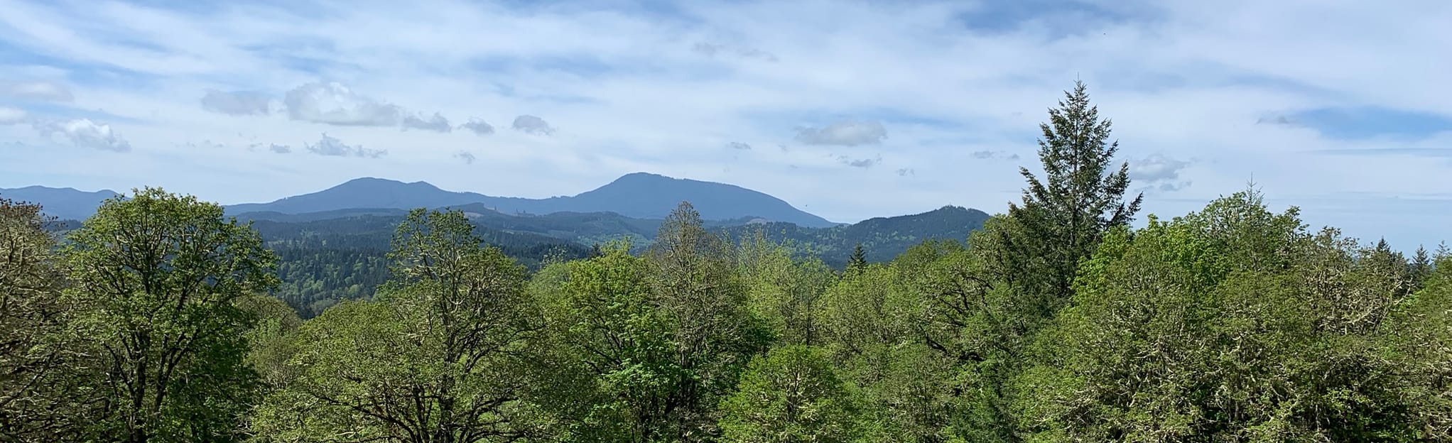 Fitton Green Trail to Allen Throop Loop: 93 Reviews, Map - Oregon ...