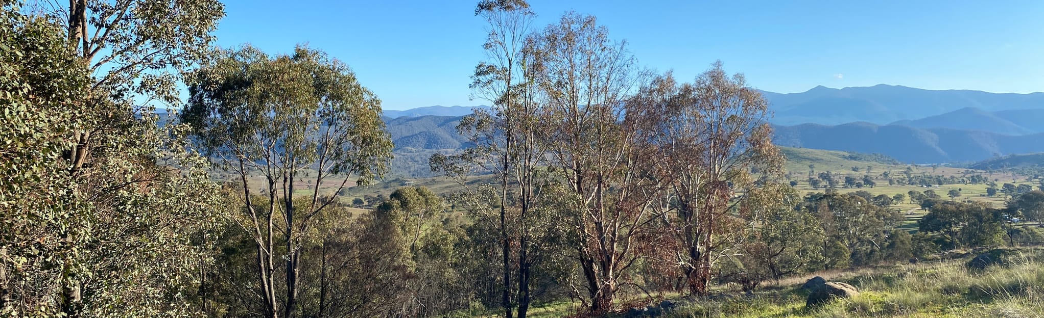 AllTrails | Cooleman Ridge to Mount Arawang via Bicentennial National ...