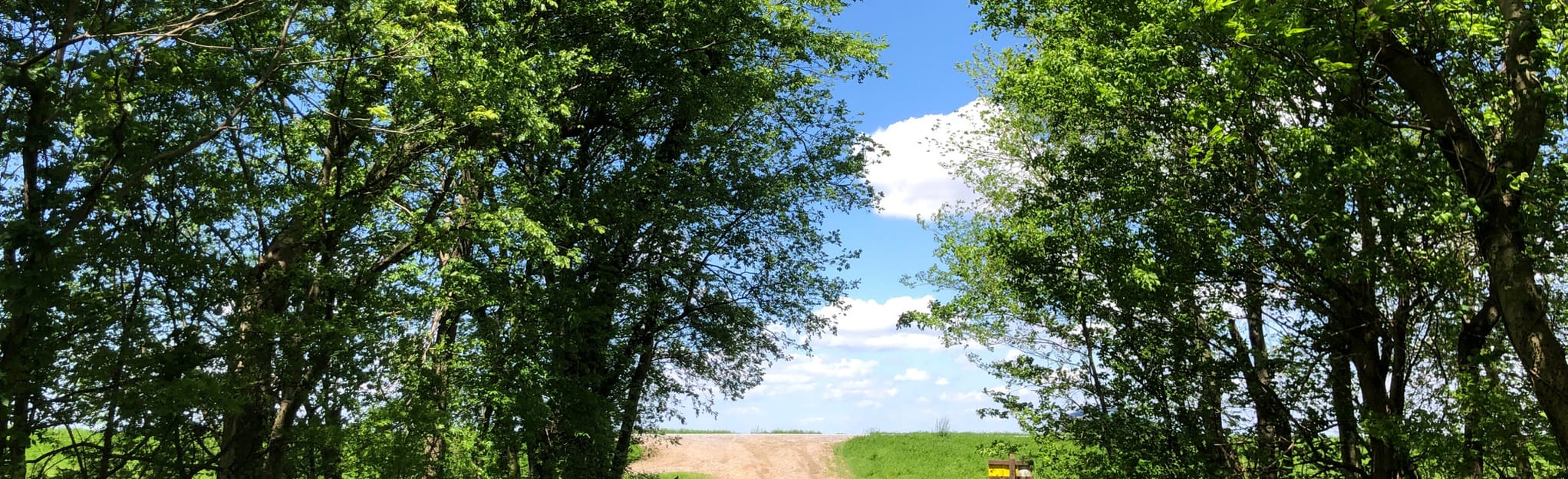 Donaldson Point Trail, Missouri - 10 Reviews, Map | AllTrails