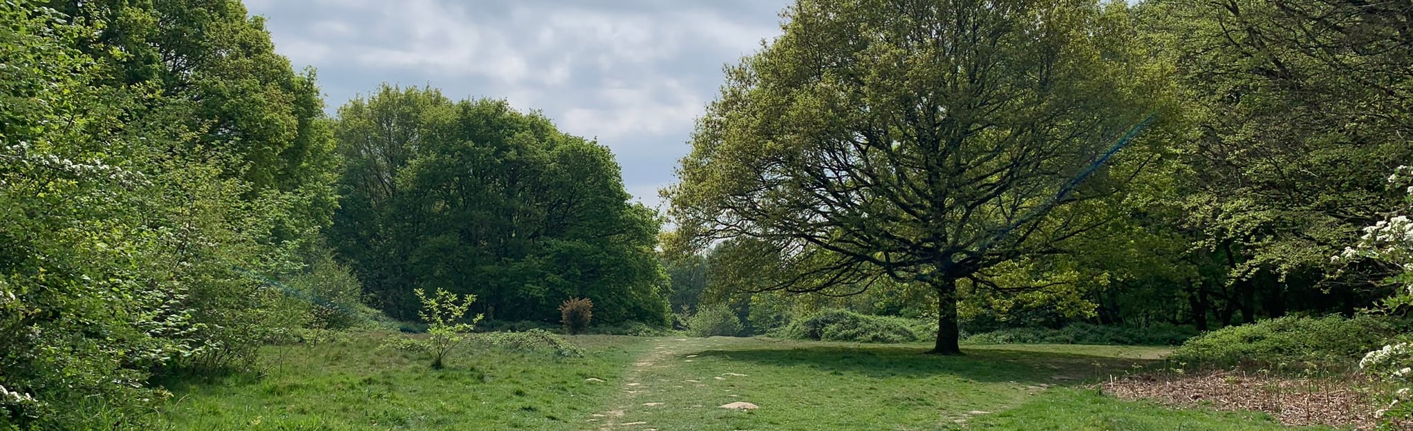 The Two Brewers and Hainault Forest Walk: 102 Reviews, Map - Essex ...