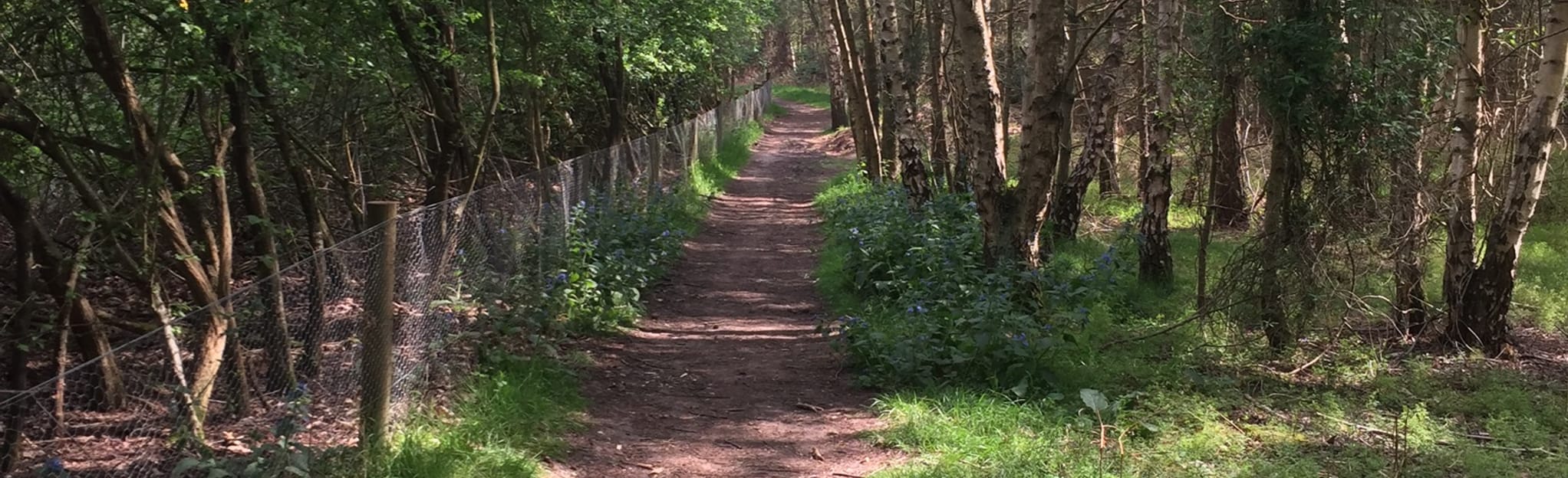 Rendlesham Forest North Circular, Suffolk, England - 36 Reviews, Map ...