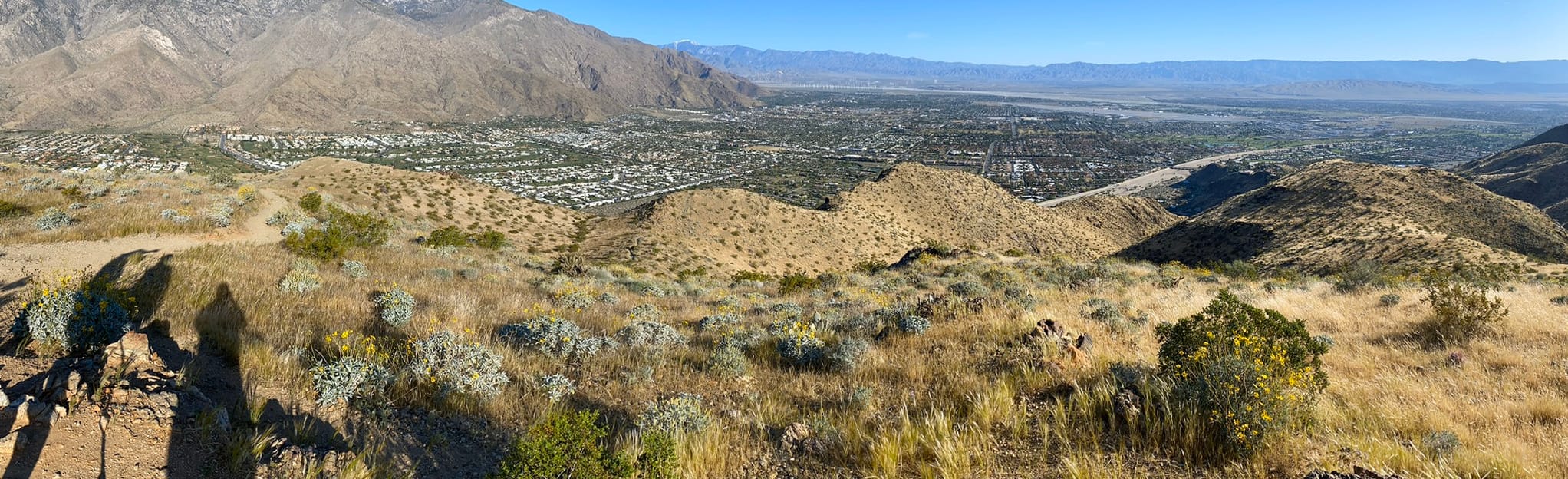 Cahuilla Peak, California - 217 Reviews, Map | AllTrails
