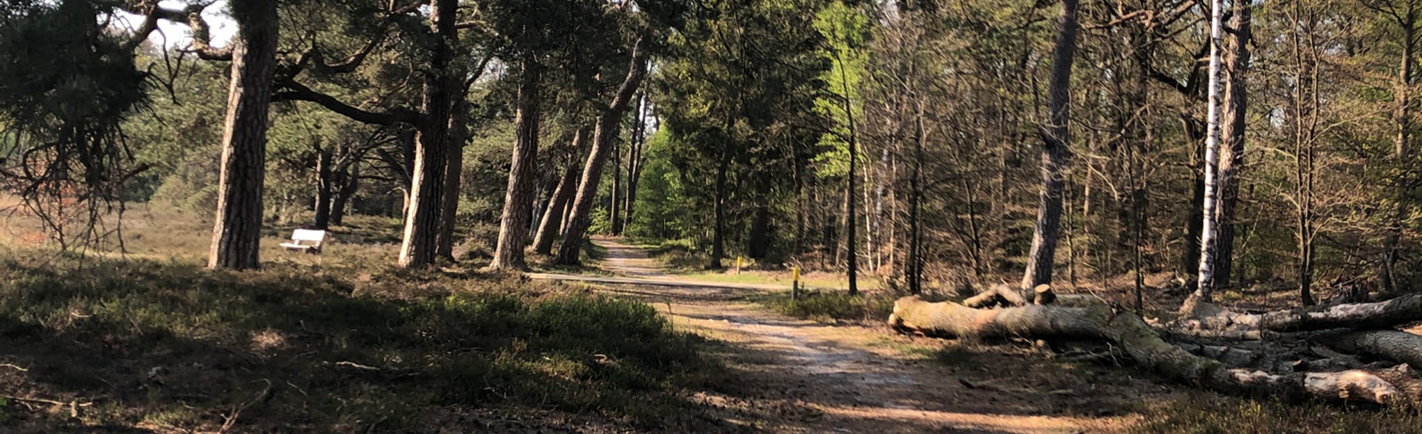 De Dellen Gele Wandelroute, Gelderland, Netherlands - 4 Reviews, Map ...