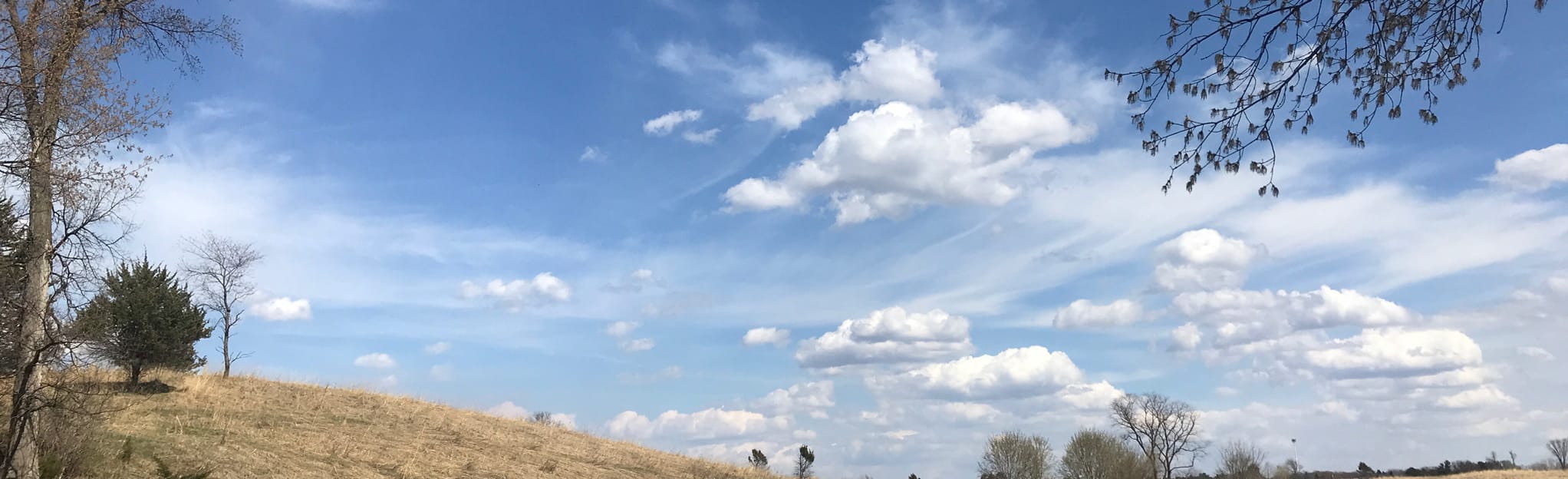 Tamarack Nature Center: 297 Reviews, Map - Minnesota | AllTrails