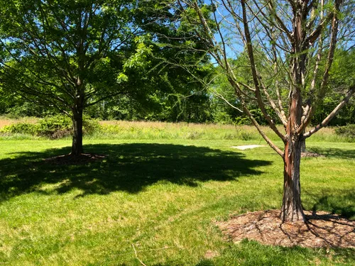 Best Hikes and Trails in Burlington Springwood Park | AllTrails