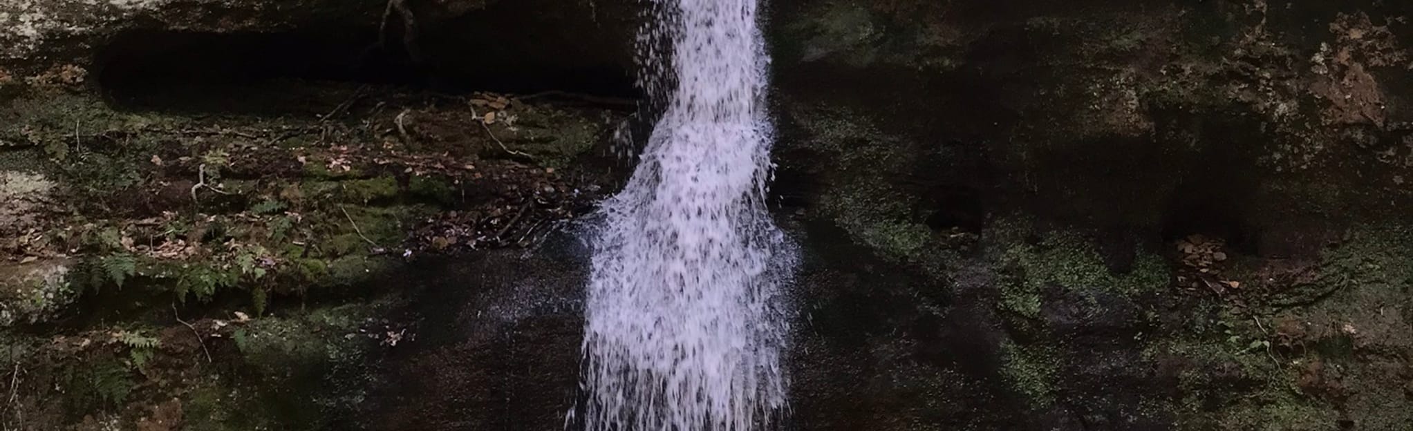 Rock Stalls Natural Sanctuary, Ohio - 399 Reviews, Map | AllTrails