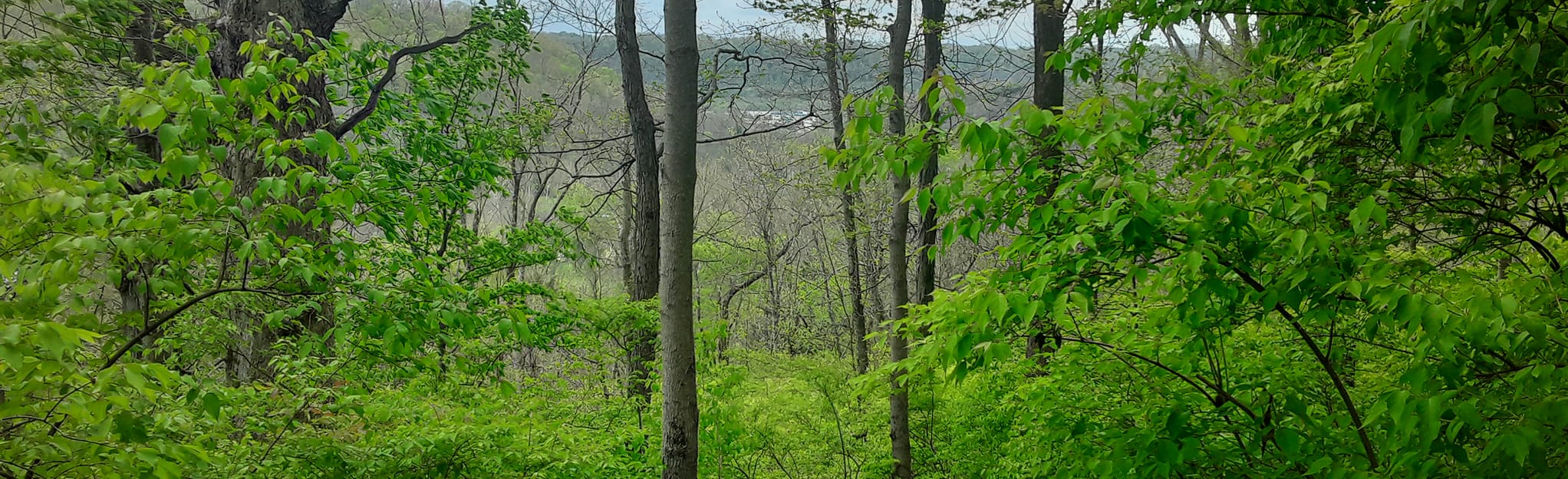 City of Highland Heights Nature Trail, Kentucky - 6 Reviews, Map ...