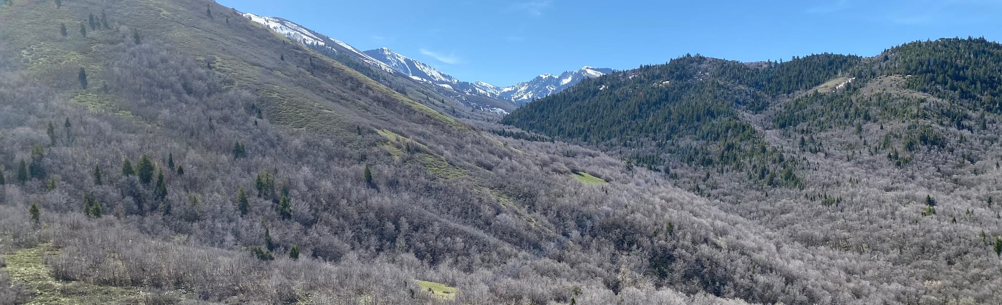 Left Hand Fork Trail Loop, Utah - 159 Reviews, Map | AllTrails