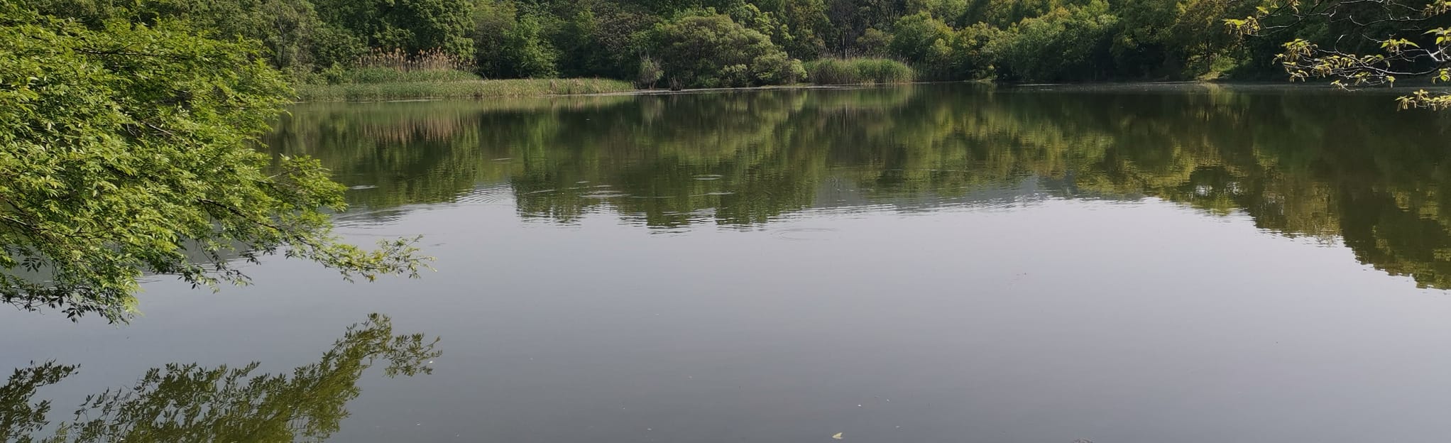 Purple Mountain and Linggu Temple: 34 Fotos - Jiangsu, China | AllTrails