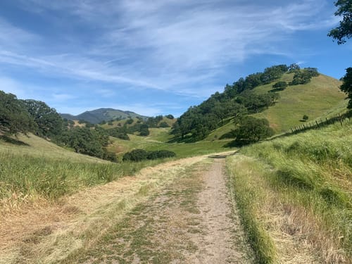 2023 Best 10 Wild Flowers Trails in Shell Ridge Open Space | AllTrails