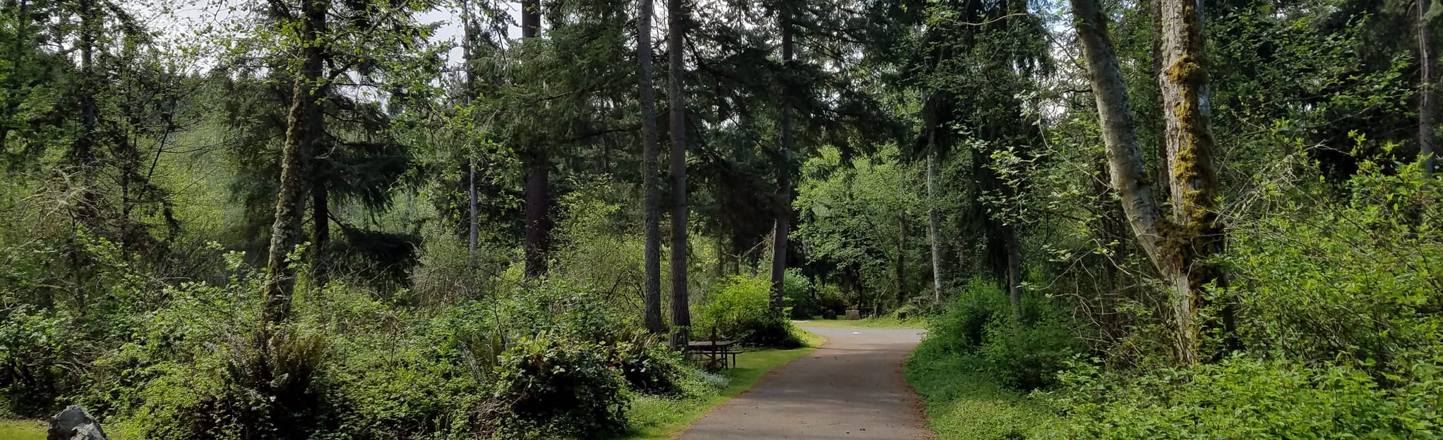 Dash Point Trail: 948 Reviews, Map - Washington | AllTrails
