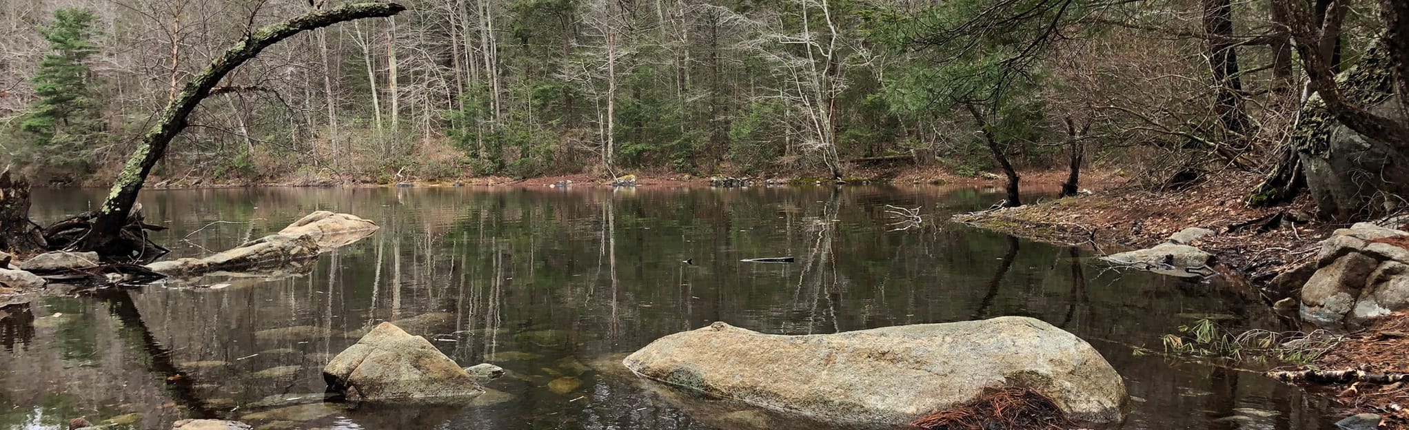 Haskell's Pond Loop: 165 Reviews, Map - Massachusetts | AllTrails