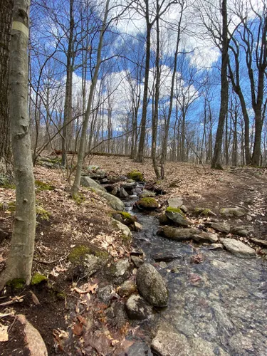 Best 10 Hikes and Trails in Meshomasic State Forest | AllTrails