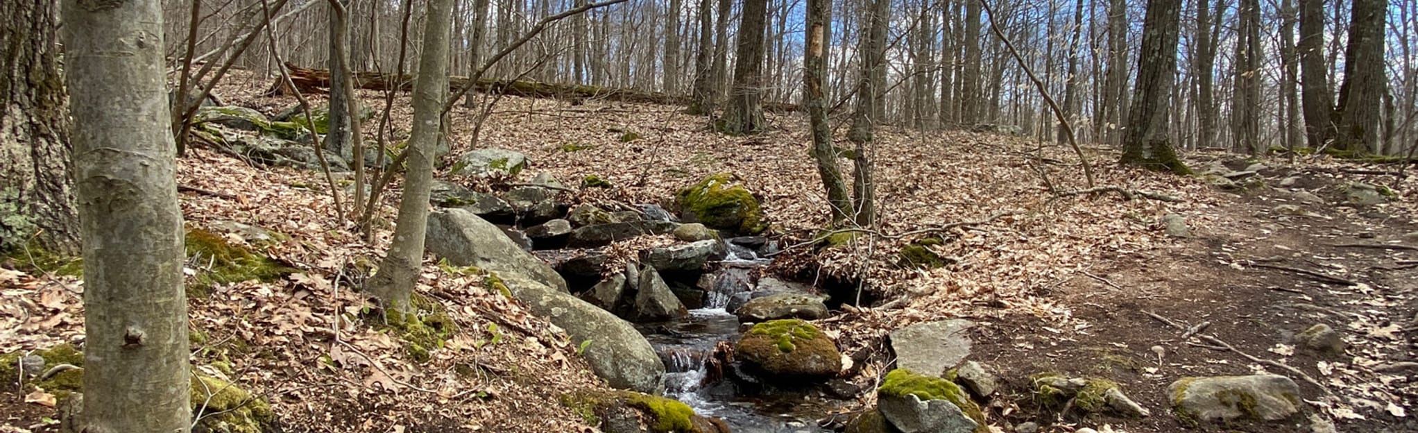 Del Reeves Loop: 91 Reviews, Map - Connecticut | AllTrails
