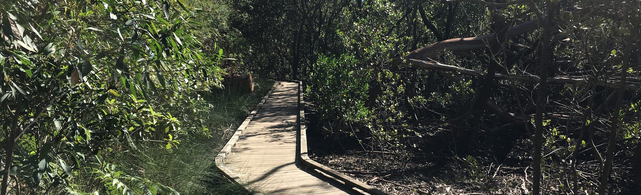 Hunters Hill: 349 Reviews, Map - New South Wales, Australia | AllTrails