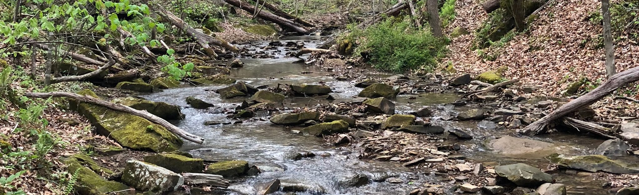 Shawnee State Park North Loop, Ohio - 175 Reviews, Map | AllTrails