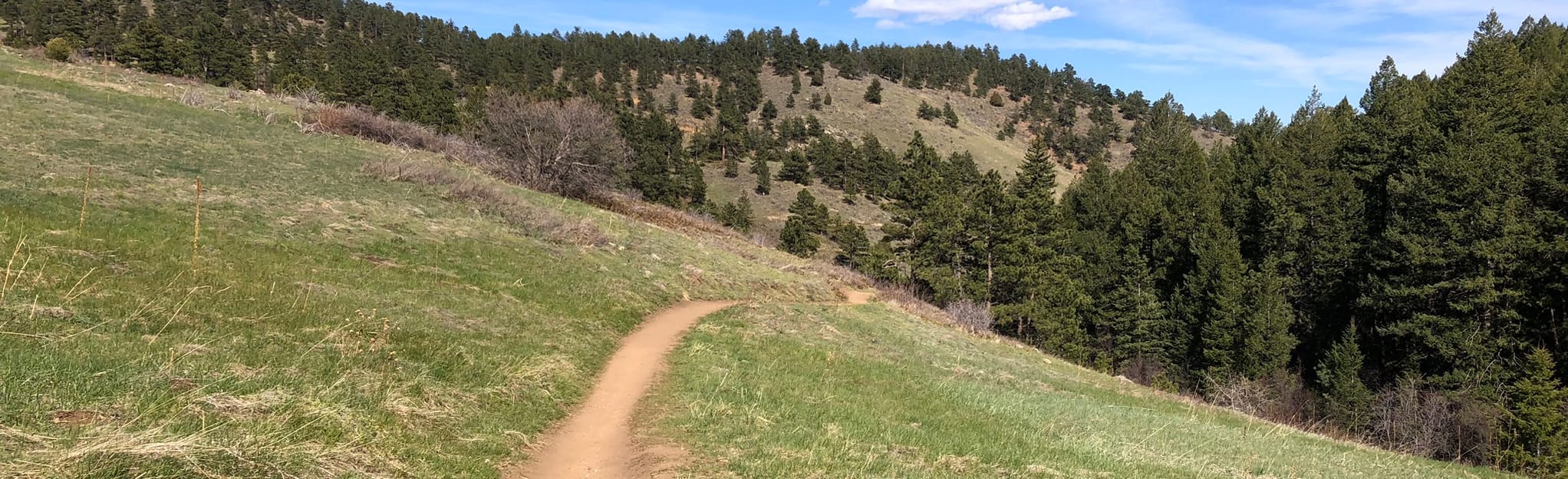 Apex and Enchanted Forest Trail Loop - Colorado | AllTrails