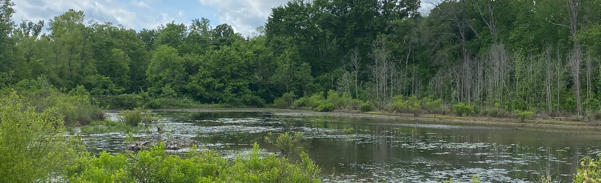 Hector Henry Greenway: 125 Reviews, Map - North Carolina | AllTrails