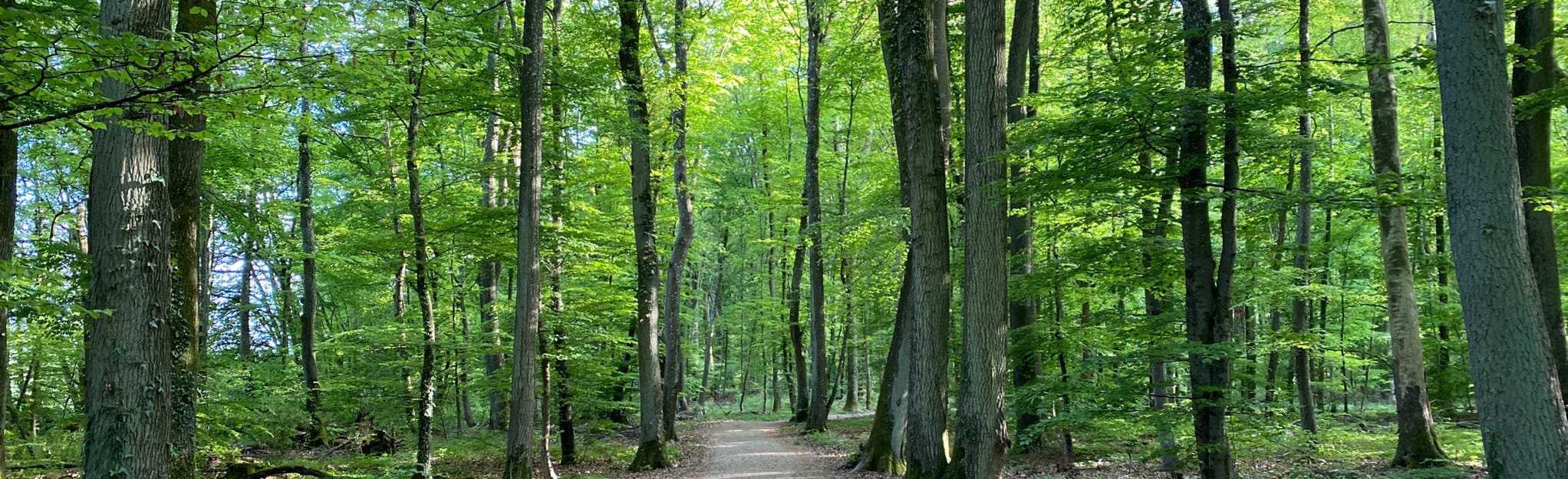 Sandweiler - Syren - Hesperange, Luxembourg, Luxembourg - 2 Reviews ...