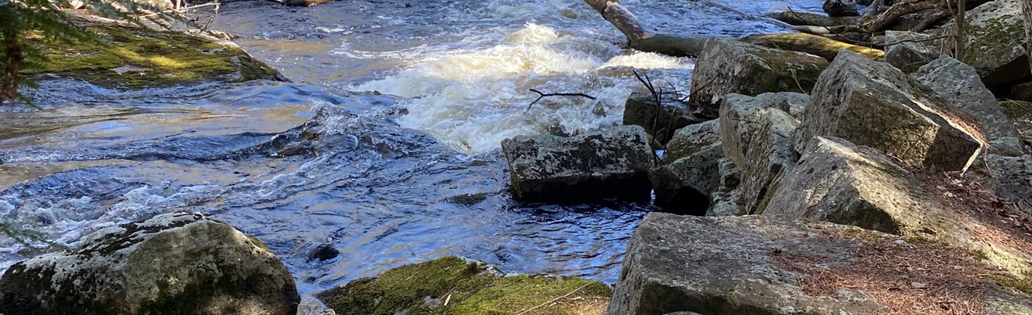 Silk Farm Road Trails, New Hampshire - 155 Reviews, Map | AllTrails