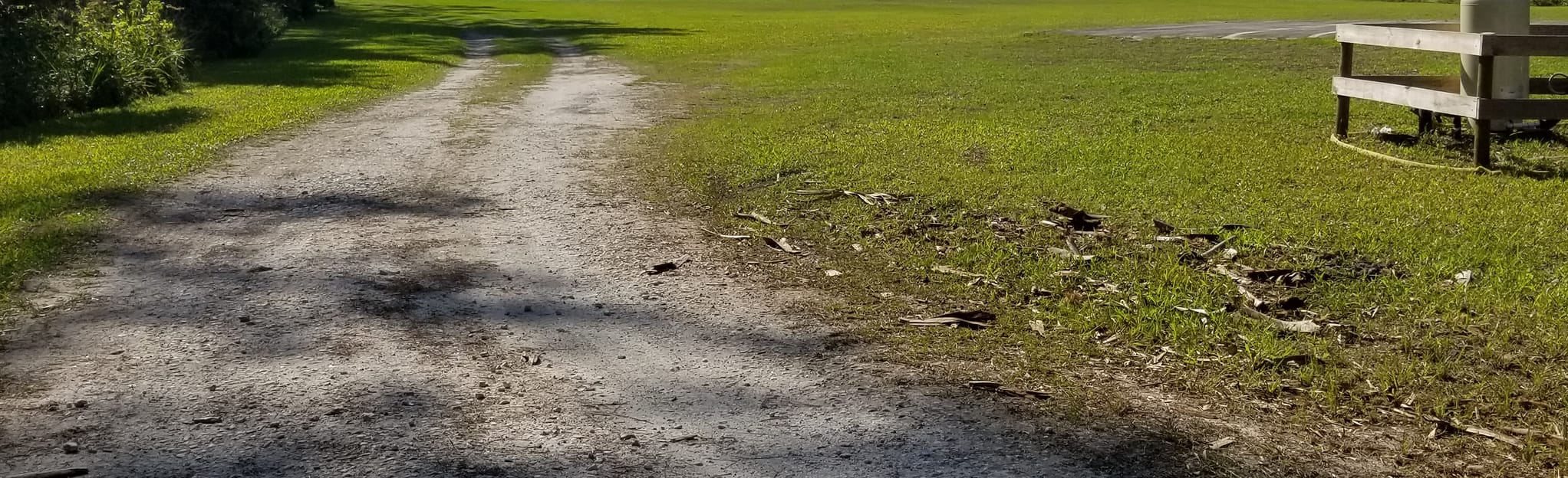 Pott's Preserve via Florida Trail, Florida - 50 Reviews, Map | AllTrails