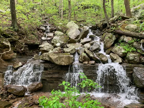 10 Best Hikes and Trails in Frozen Head State Park | AllTrails