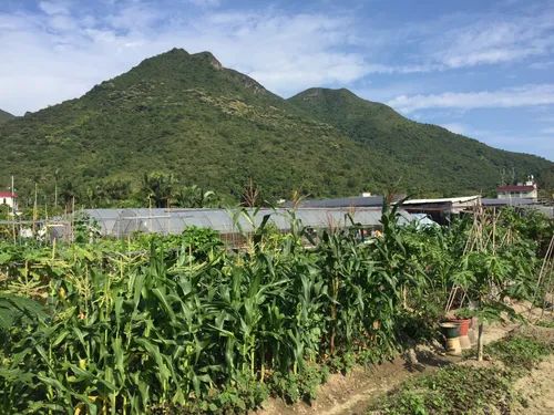 2023 Best Trails, Walks, and Paths in Fanling | AllTrails