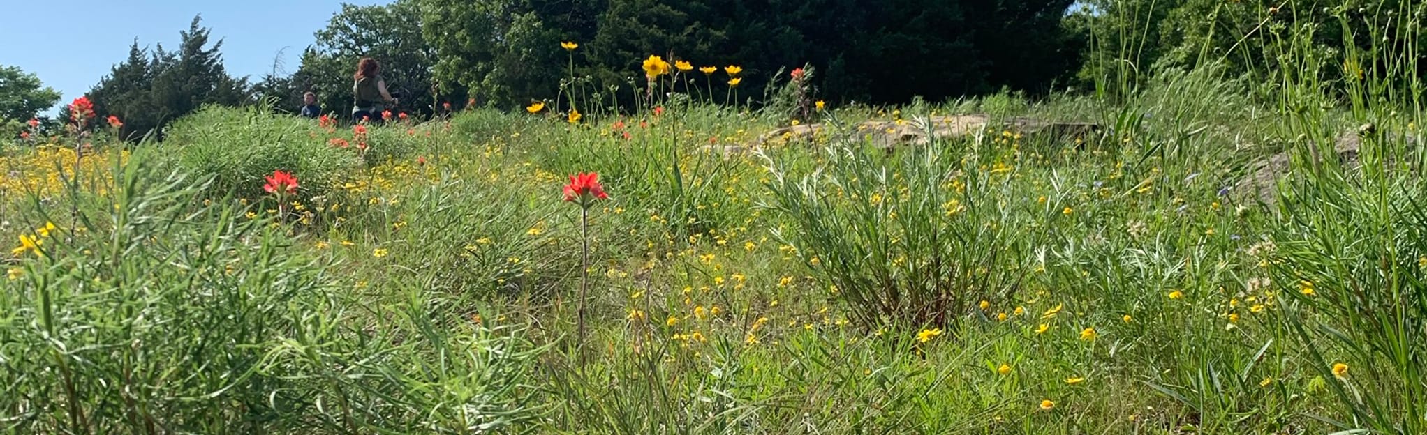 Duncan Lake West Loop, Oklahoma - 25 Reviews, Map | AllTrails