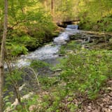 Saunders Springs Reservoir Loop, Kentucky - 115 Reviews, Map | AllTrails